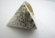 Elongated Troca Seashell - Trochus maculatus - (1 shell, approx. 2-3 ...