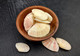 Sunrise Tellin Clam Seashells Tellina Radiata (10 shell pairs approx. 1 ...