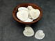 Heart Cockle Seashells True Heart Corculum Cardissa (5 shells approx. 1 ...