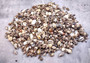 Extra Small Seashell Assorted Ocean Mix (approx. 1 kilogram 0.50 ...