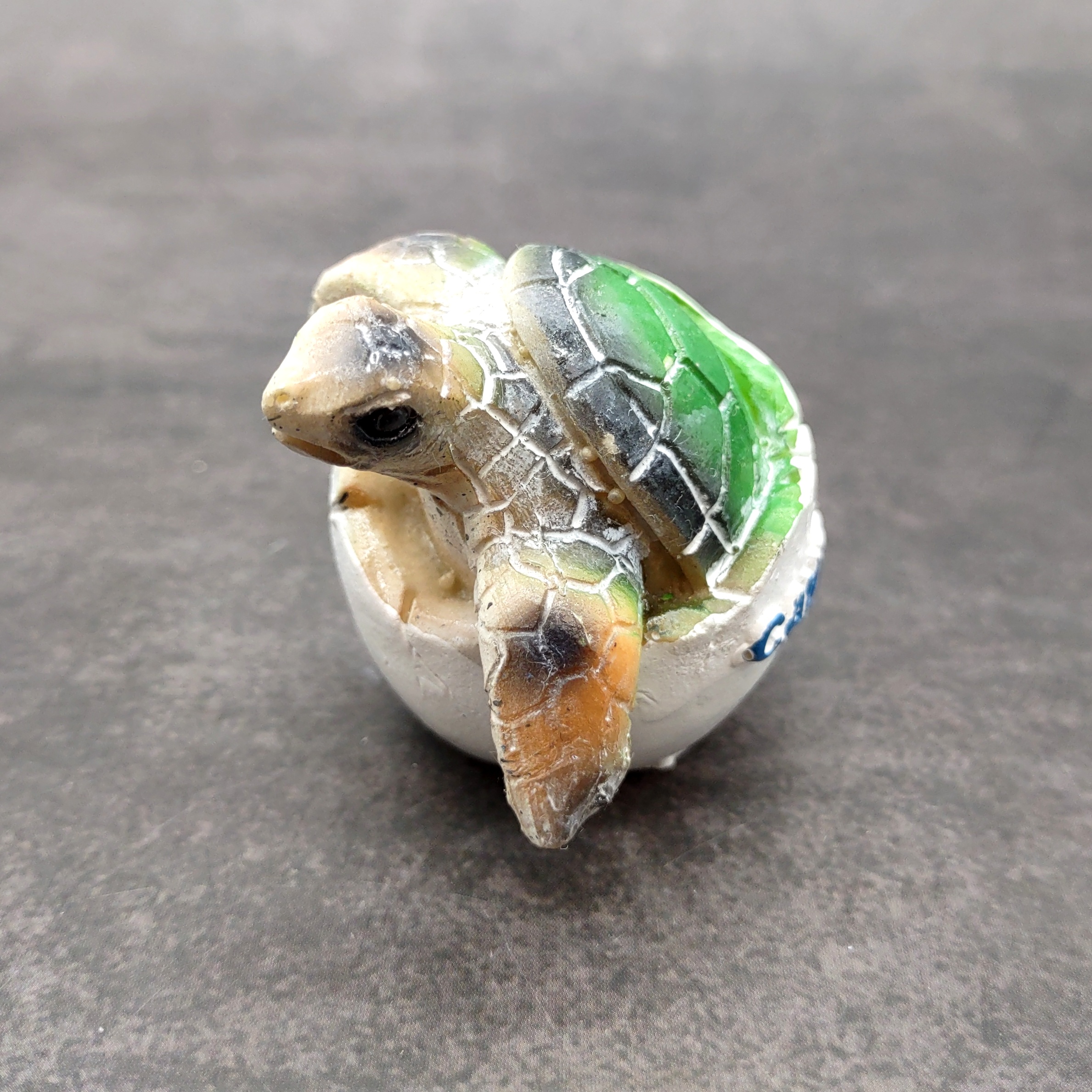 turtle decorated egg