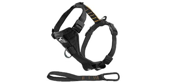 Harness With SeatBelt Tether (Z056) | My Hyundai Store