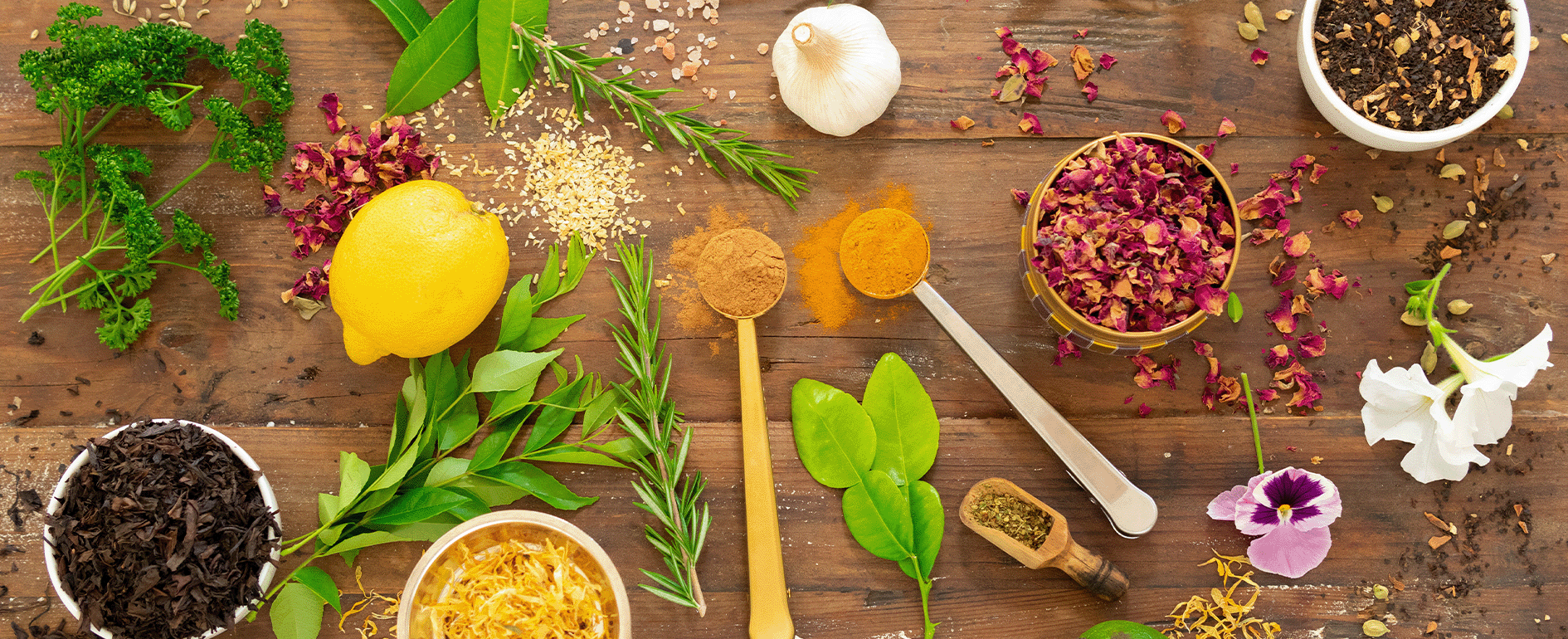 Buy Bulk Herbs Online – Herbs & Spices Store Australia | Herbal Connection
