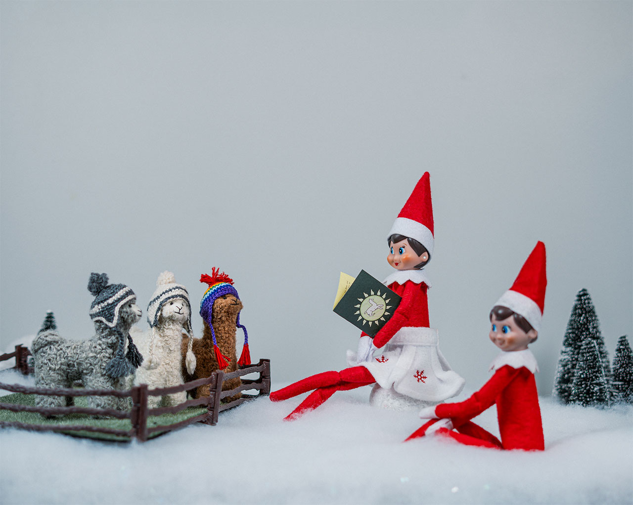 Needle Felted Alpaca Figurines in Natural Tassel Hats - Handmade! | Sun ...