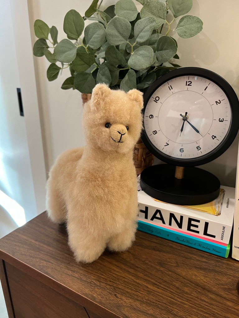 Alpaca Fur Animals