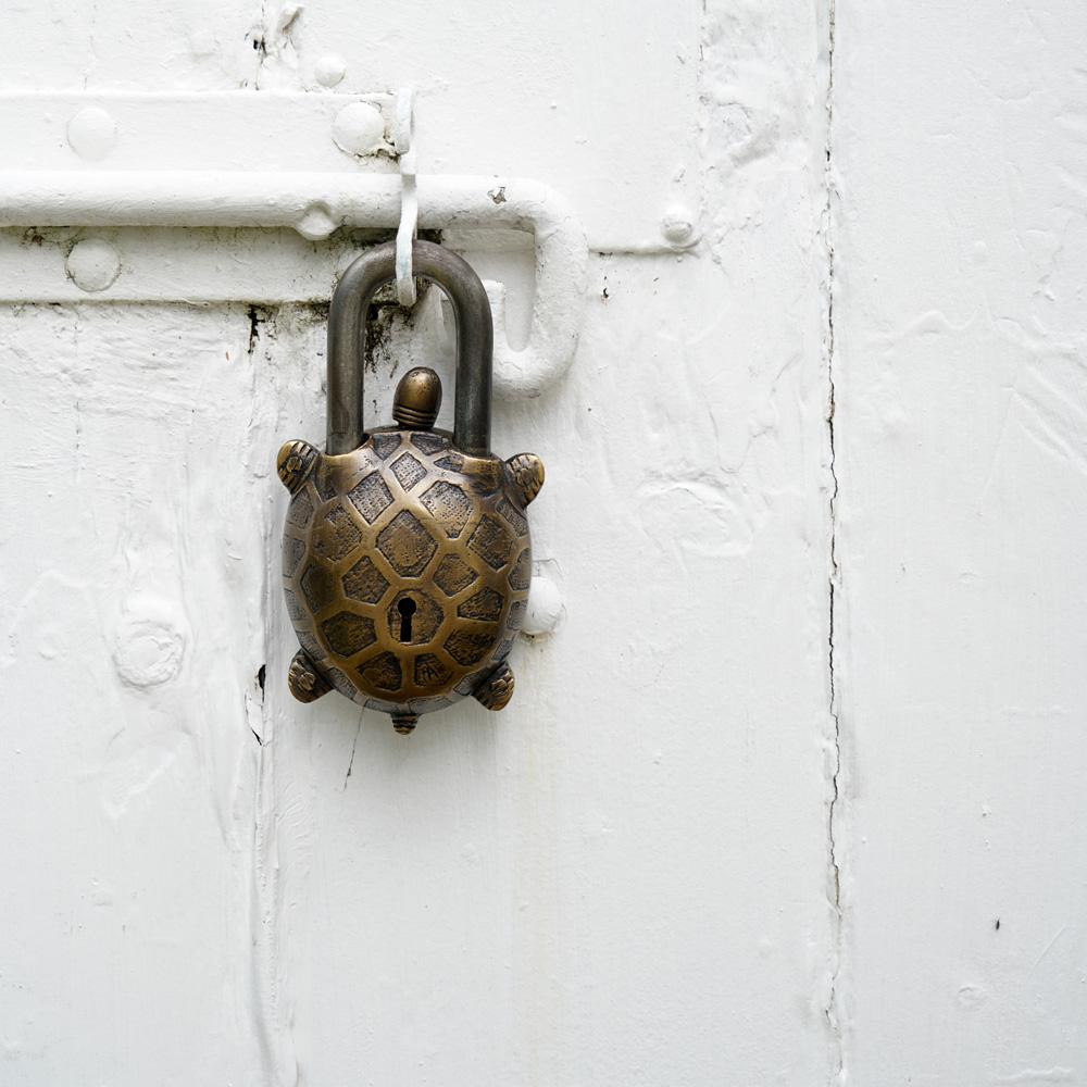 Turtle Lock in Aged Brass and Steel - THE BEACH PLUM COMPANY