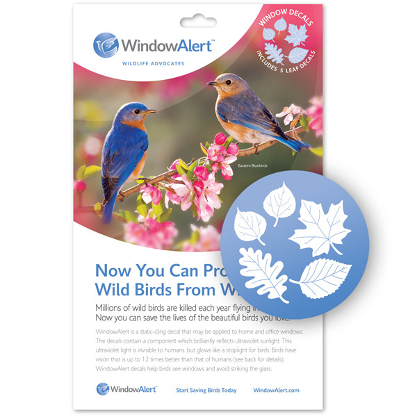 Window Alert Bird Strike Window Decals in FIVE LEAF MEDLEY - THE BEACH ...