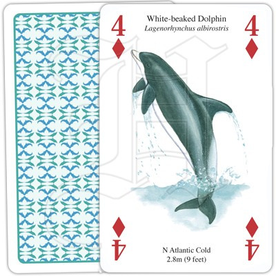 Whales & Dolphins Playing Cards - THE BEACH PLUM COMPANY