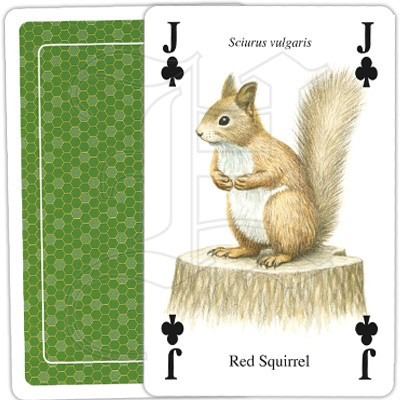 Wild Animals Playing Cards - THE BEACH PLUM COMPANY