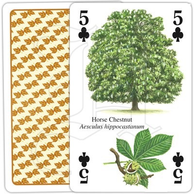 Trees Playing Cards - THE BEACH PLUM COMPANY