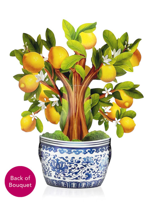 Fresh Cut Paper Lemon Blossom Tree Pop Up Flower Bouquet Card - THE ...