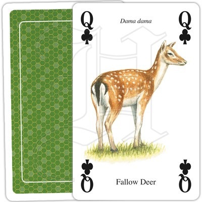 Wild Animals Playing Cards - THE BEACH PLUM COMPANY