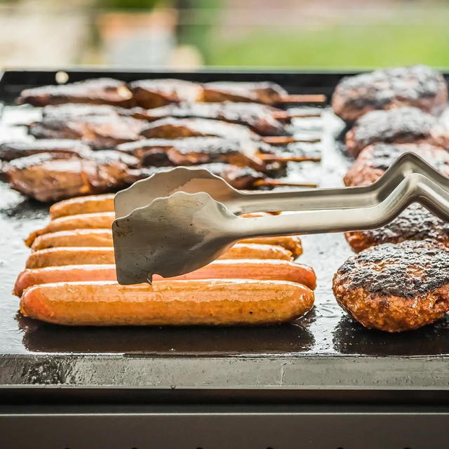 Turtle Lock in Aged Brass and Steel - THE BEACH PLUM COMPANY