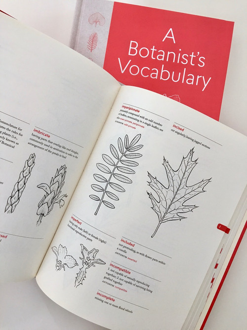 A Botanist's Vocabulary: 1300 Terms Explained and Illustrated (Science ...