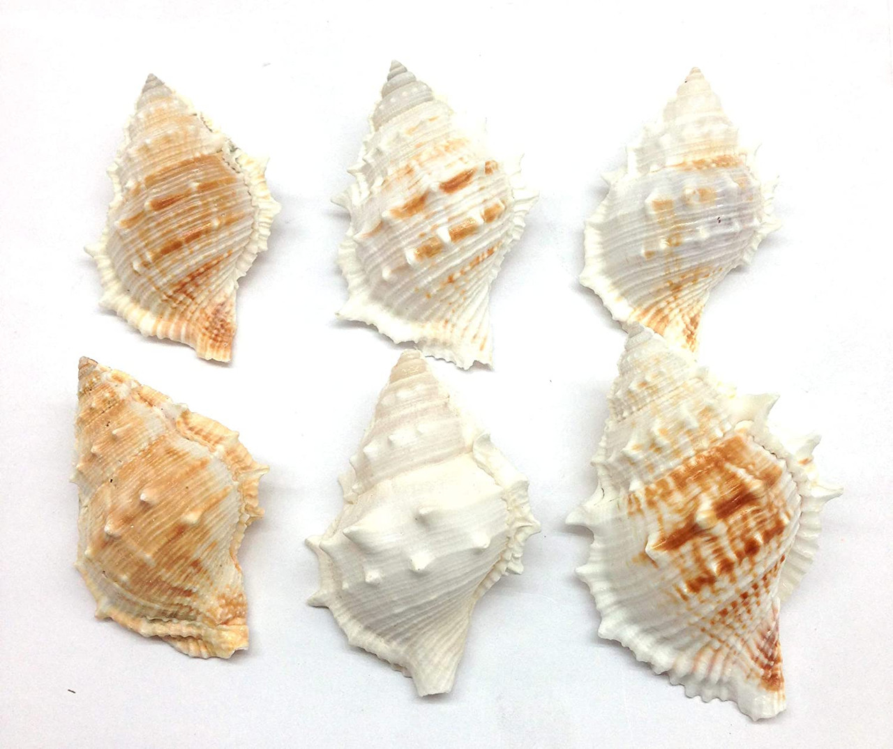 Bursa Rana - Home Fabrics Ltd.