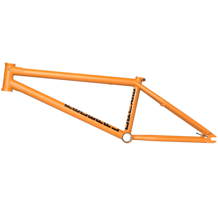 Federal Bruno Frame in Clear Burnt Orange or Black