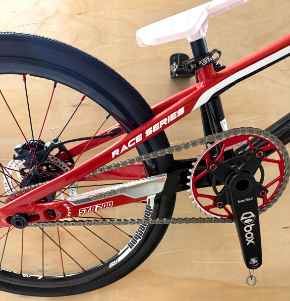 Syndyt Bike Custom