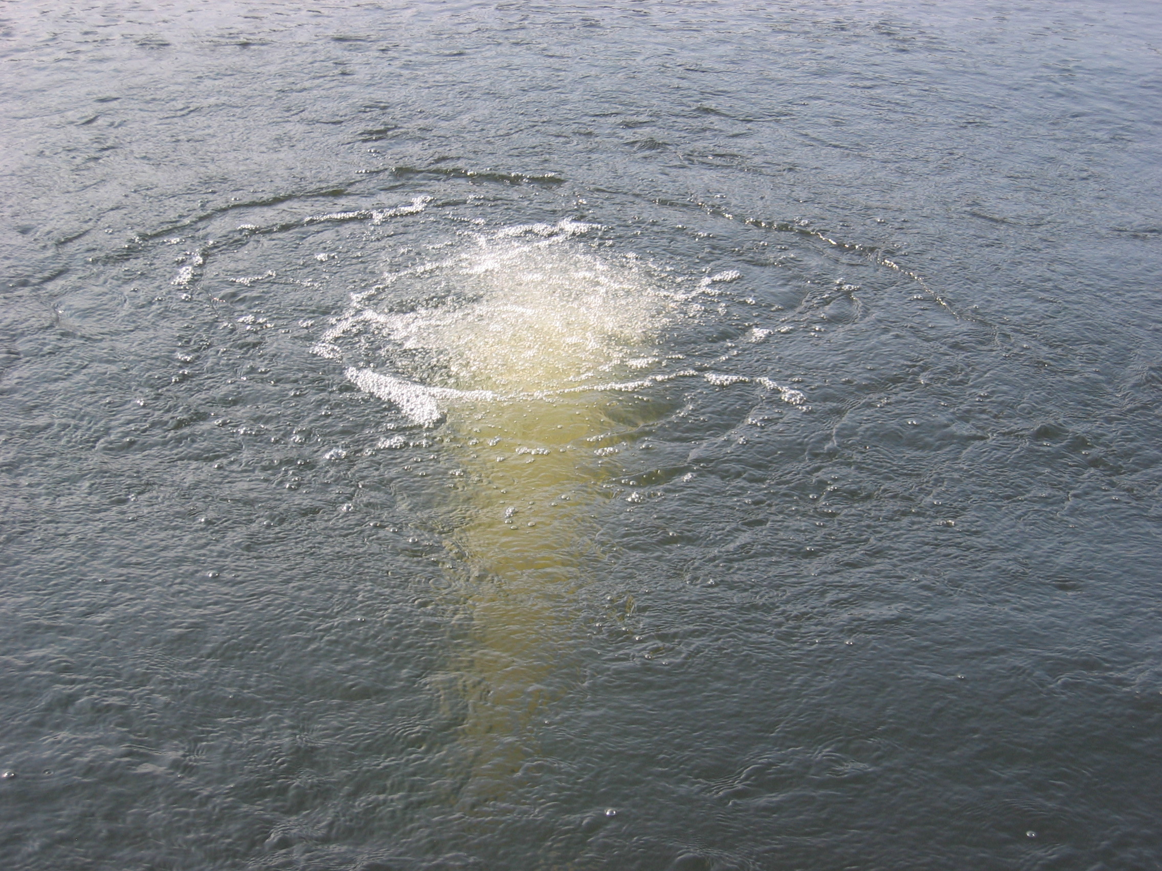 What are the Benefits of Pond Aeration and Lake Aeration? - Aqua Link ...