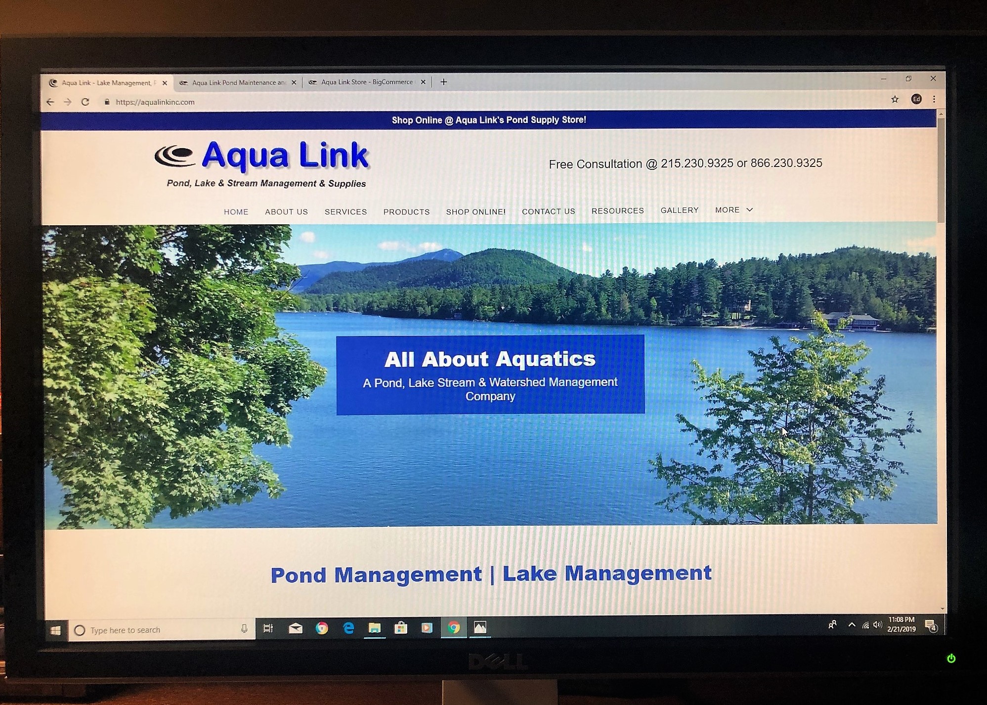 Aqua Link Pond Maintenance and Lake Management Launches New Website for ...