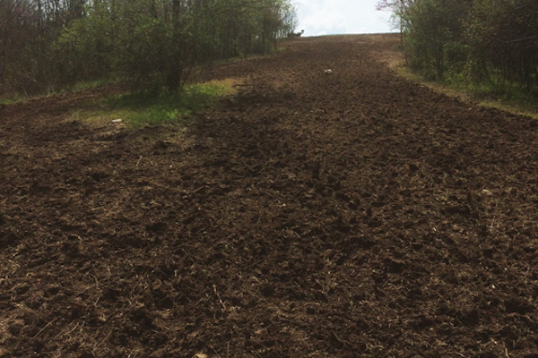 Making Micro-Plots on Small Properties - Frigid Forage