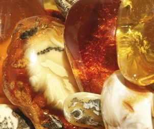 Look into Amber – It’s amazing what you’ll find! - Amber Jewelry Made ...