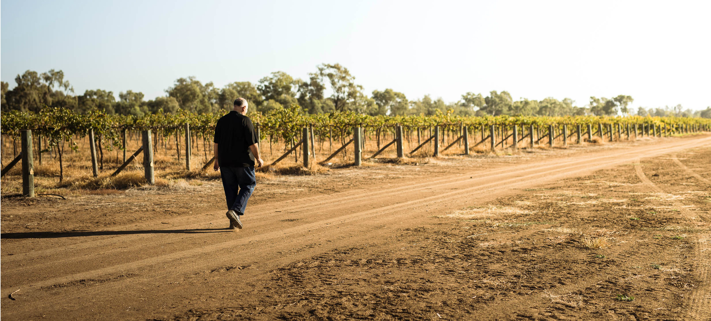 Lillypilly Wine Store