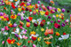 10 Ideas for the Perfect Spring Quilt - Sit n’ Sew Fabrics