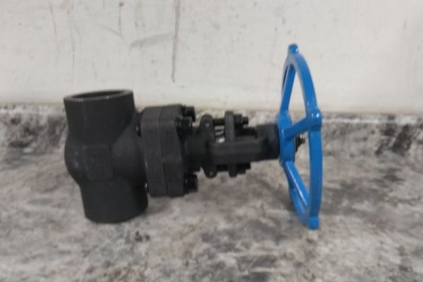 SHARPE VALVES 4371003820 SHARPE VALVES Gate Valve: 2 in, Forged Steel ...