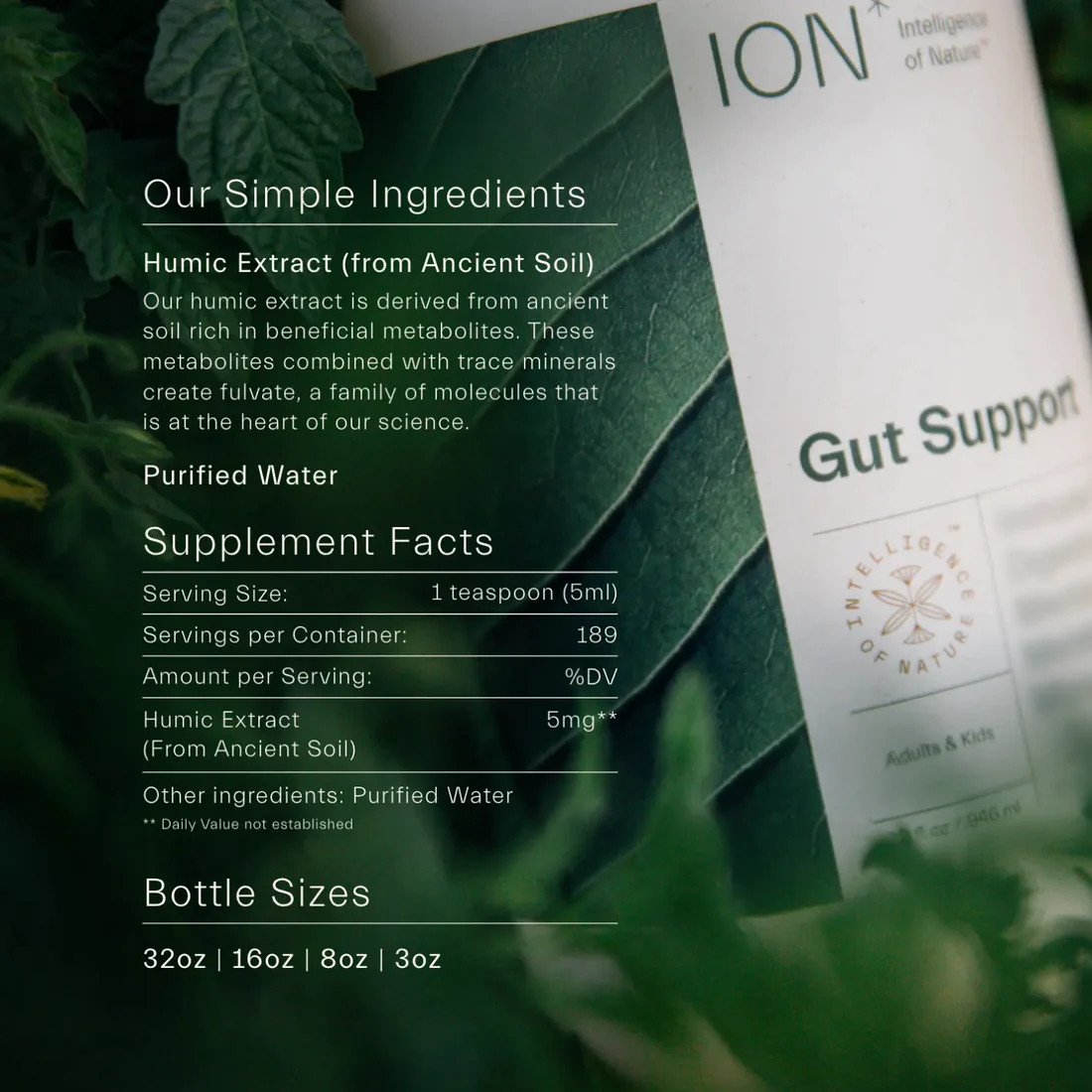 Ion Gut - Riordan Clinic Nutrient Store