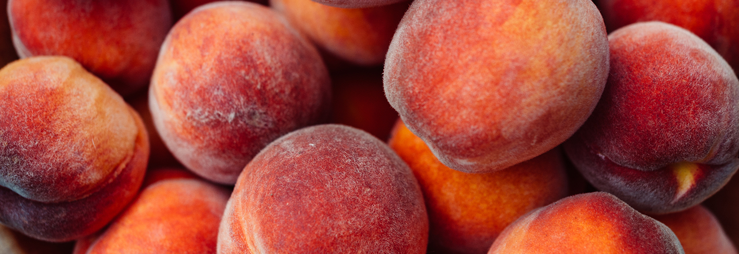 Staff Picks - Riordan Clinic Nutrient Store