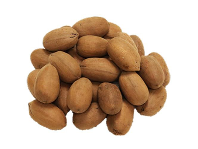 In-Shell Pecans (Whole Pecans), Free Shipping