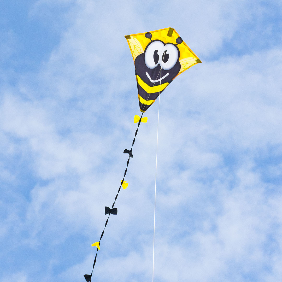 HQ Kites - Eco line - ECO: EDDY BUMBLE BEE 50CM 20" NEW - The Kite Guys