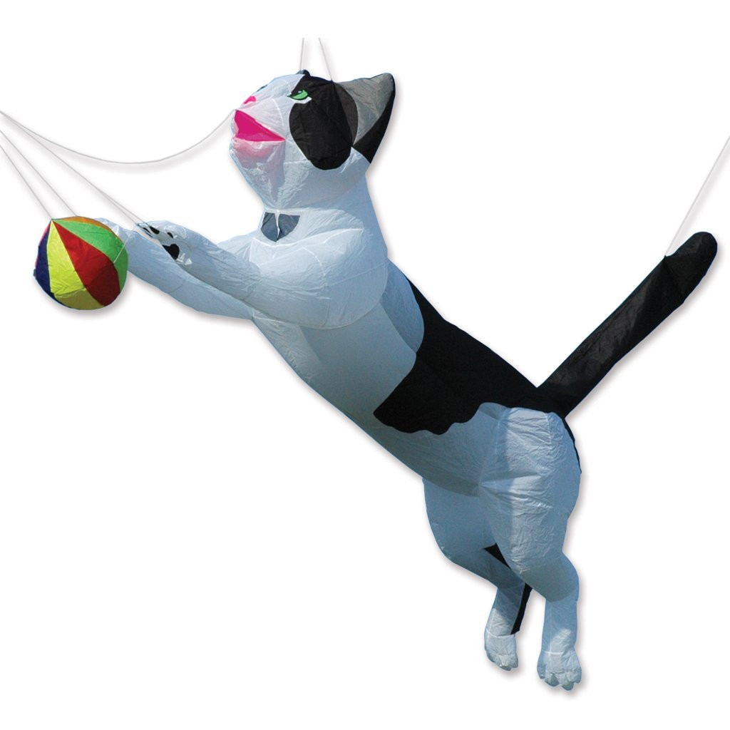 Easy Fly Beginner Kite Premier Kites Penta Kite - Chubby Cat Design ...