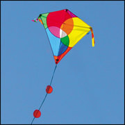 Batzilla Kite | The Kite Guys