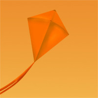 Fun Fly Diamond Kite | The Kite Guys