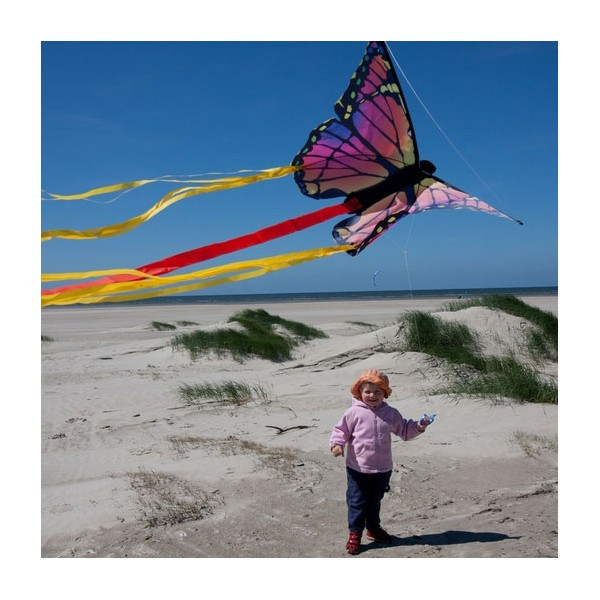 Monarch Butterfly L Kite | The Kite Guys