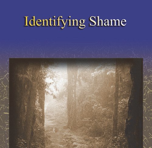 Identifying Shame (Digital Download) - Family Foundations International
