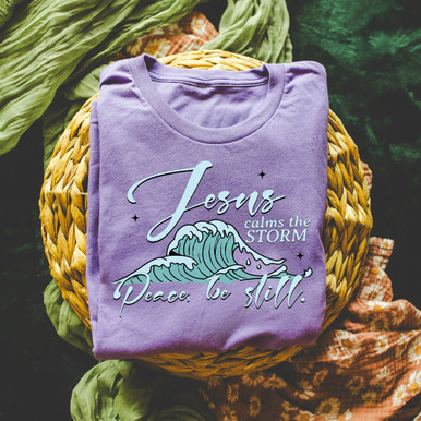 Jesus Calms The Storm DTF Heat Transfer