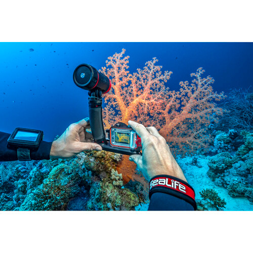 SeaLife ReefMaster RM-4K Pro 2000 Set - Berger Brothers