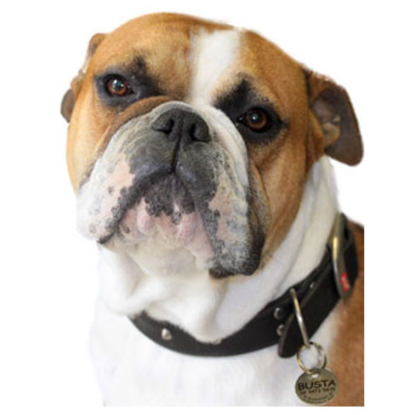 Pet Tag Anodised Aluminium Cat Face Shape | BadgeStore