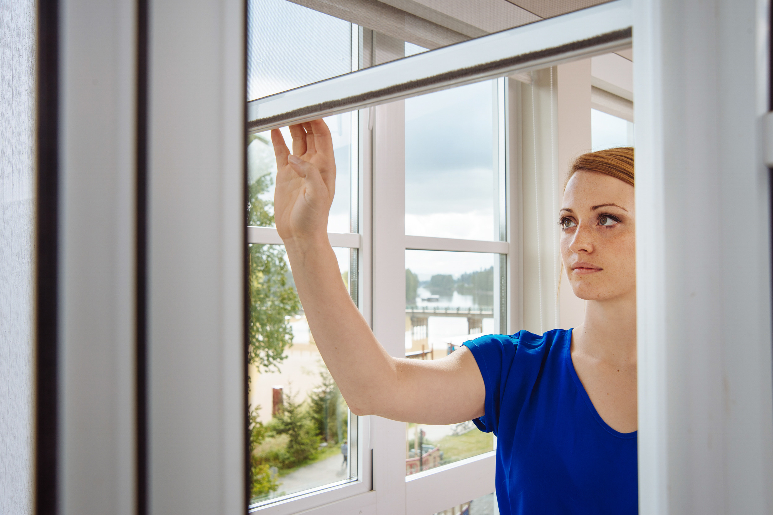 Fly screens for doors
