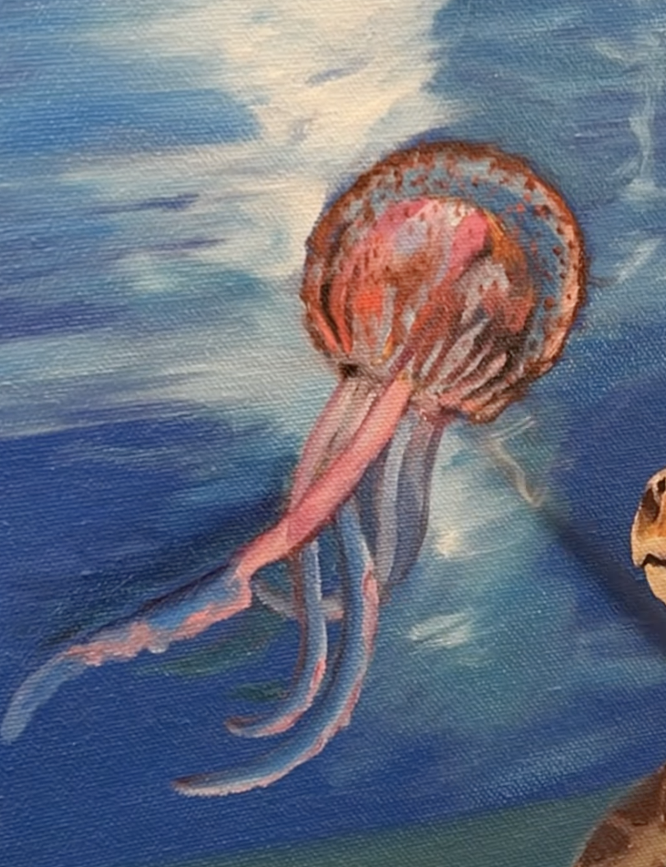 Jellyfish and Turtle | Timelapses - 7 Whales Studio