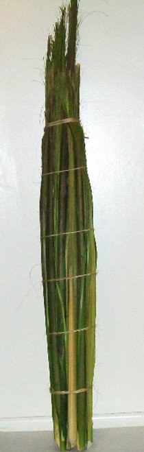 Bud Palm Head - Bundle (25 Stalks) - Giftswithlove,Inc.
