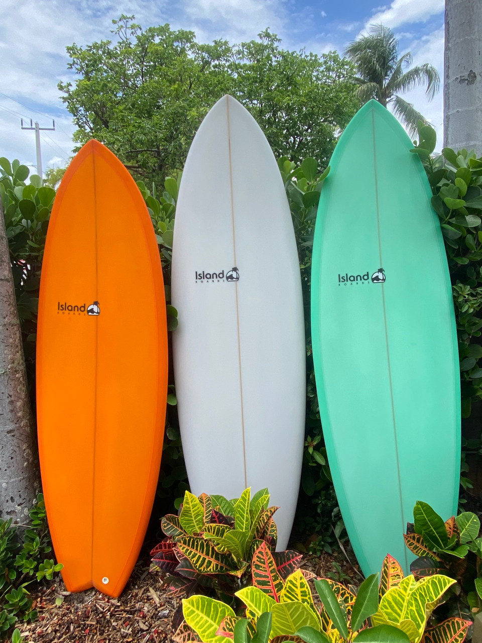 Fun Shape Surfboard | ppgbbe.intranet.biologia.ufrj.br