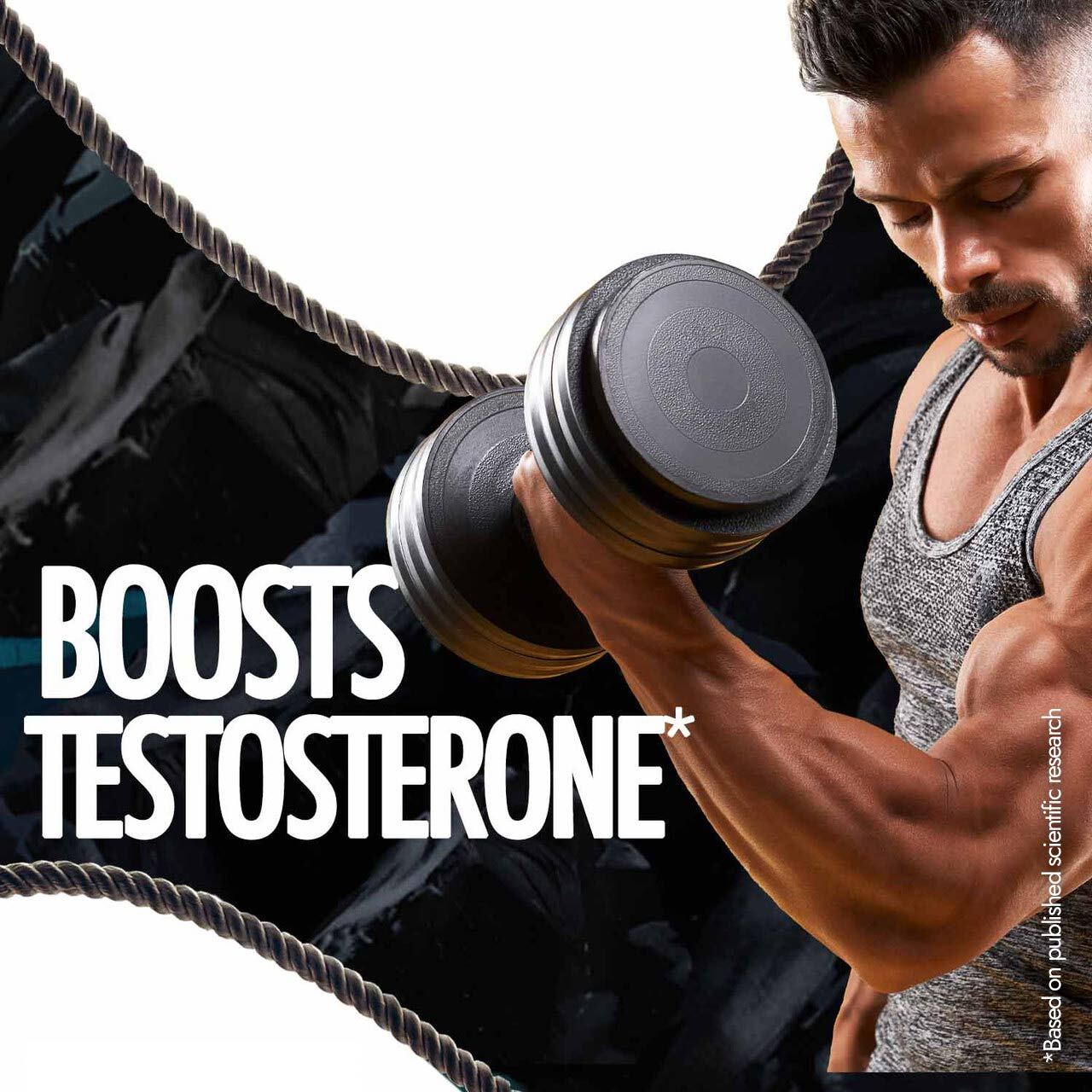 Testofuel Shilajit Whey Protein