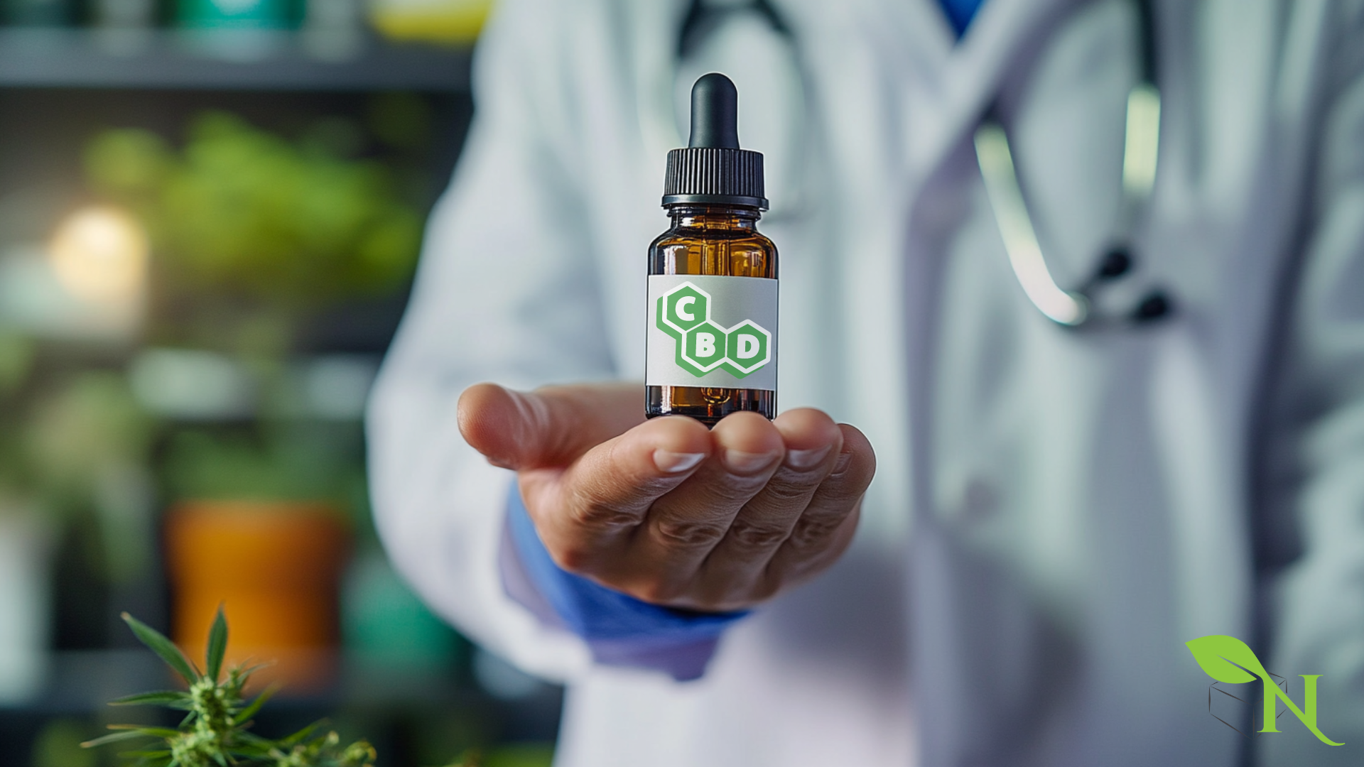 Top Benefits of Full-Spectrum CBD for Daily Wellness