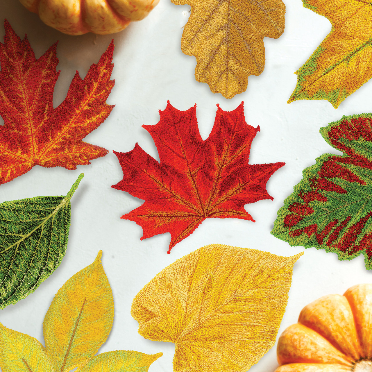 Freestanding Autumn Leaves