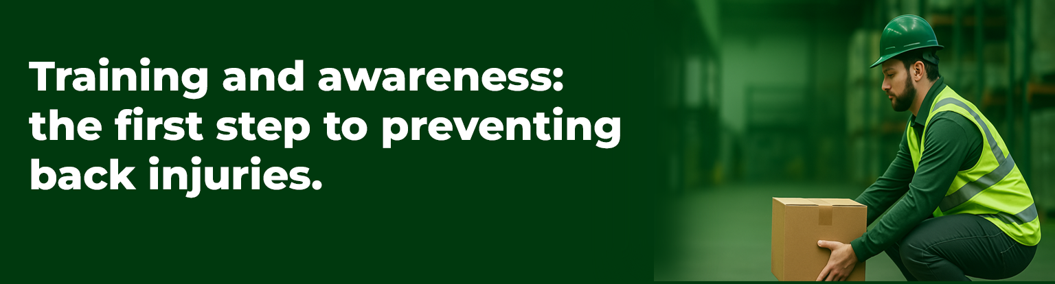 Back Safety: Preventing the Most Common Workplace Injury - ZING Green ...
