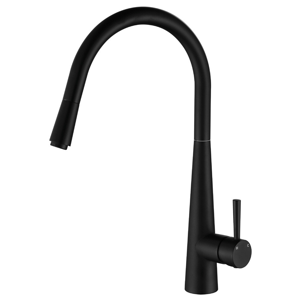 Fienza Hustle Deluxe Gooseneck Kitchen Mixer Tap with Pull Out Spray ...