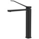 Fienza Tono Care Disabled Tall Basin Mixer Tap | Matte Black
